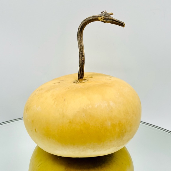 Hand Crafted | Office | Clean Dried Natural Gourd Arts Crafts Project ...